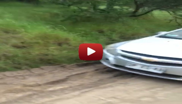 Wiocha.pl - Absurdy polskiego internetu: Nasza-Klasa, Facebook, Fotka ...