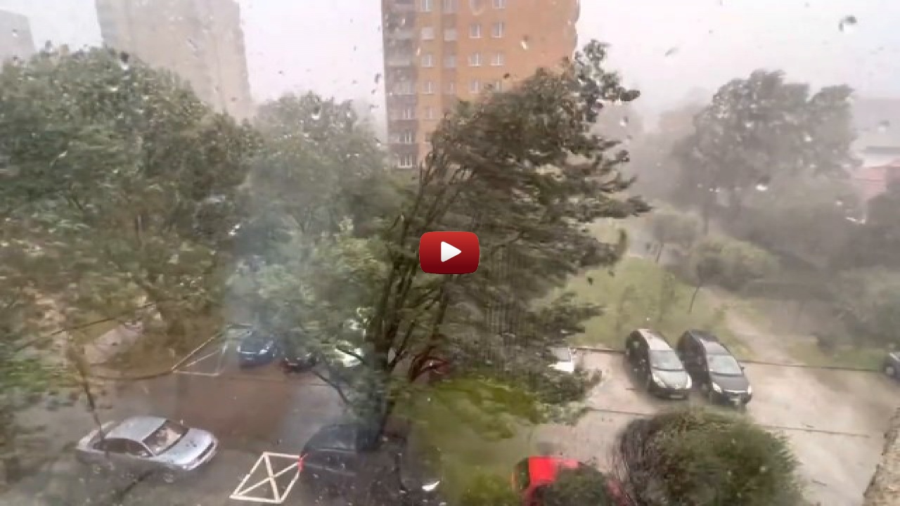 W Czepku Urodzony Wiocha Pl Absurd 1727264